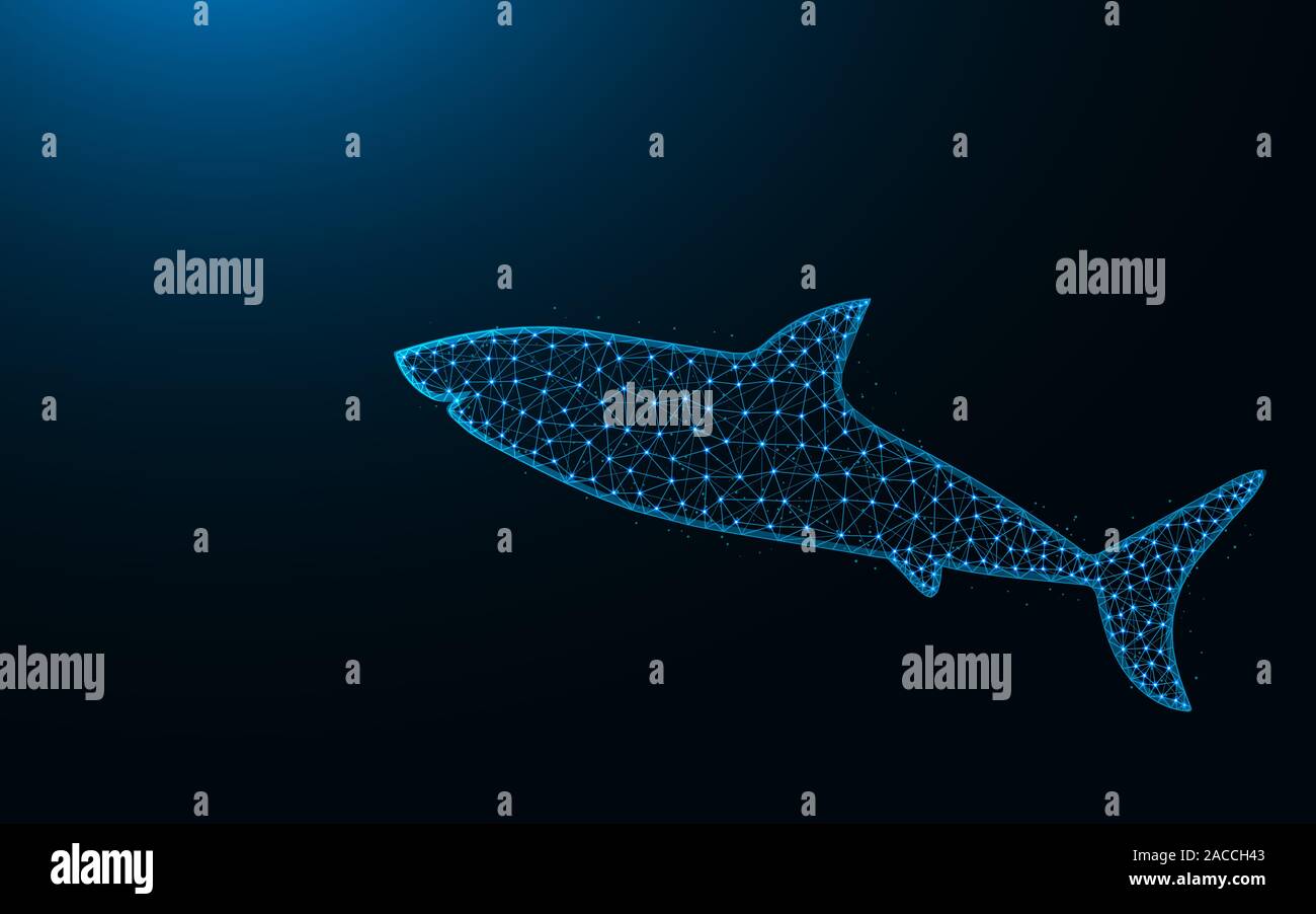 Shark low poly icon, sea predator wireframe mesh polygonal vector ...