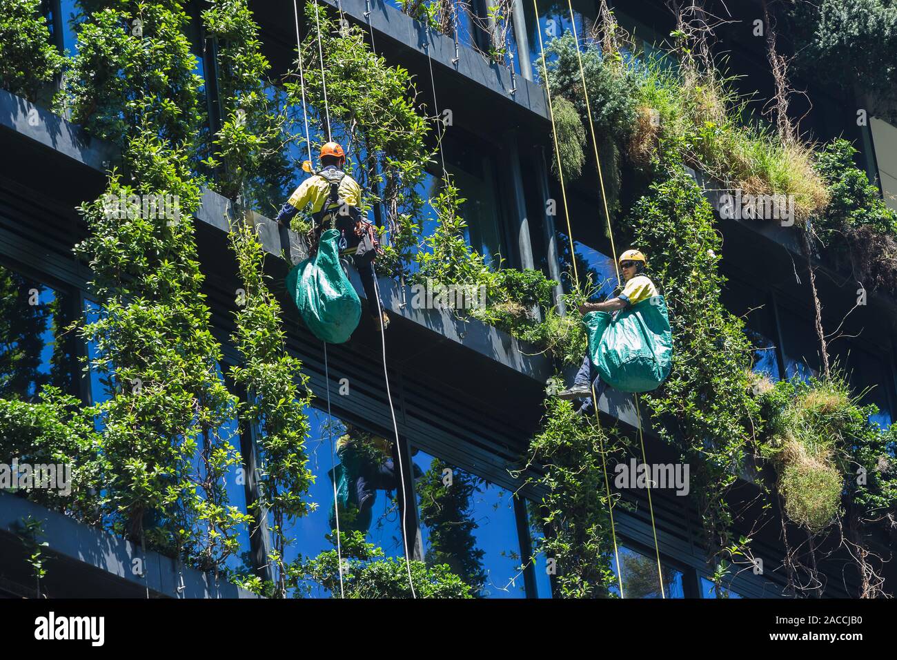 General Views showing One Central Park which is built around ...