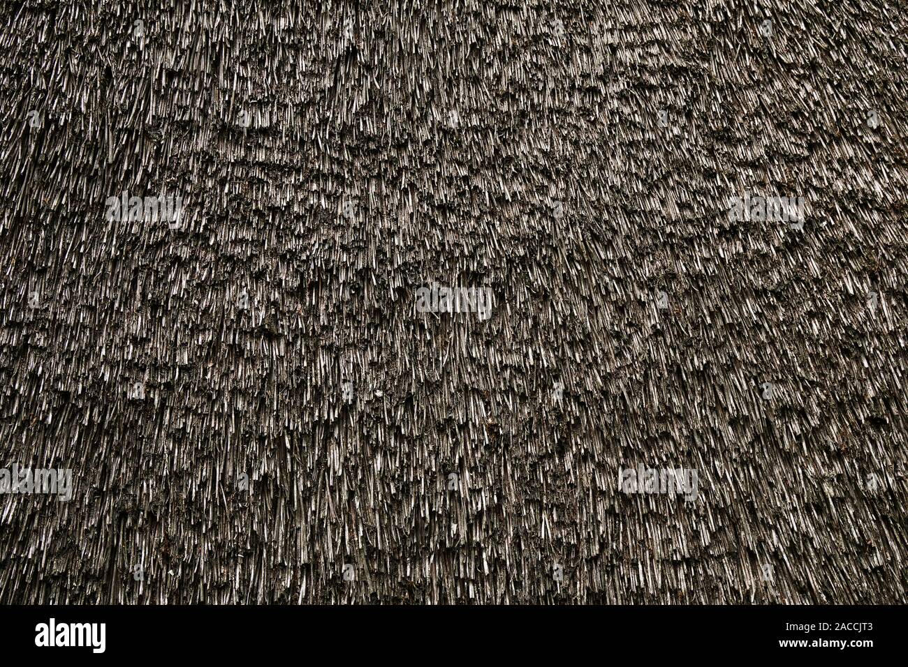 Thatch thatched thatching hi-res stock photography and images - Alamy