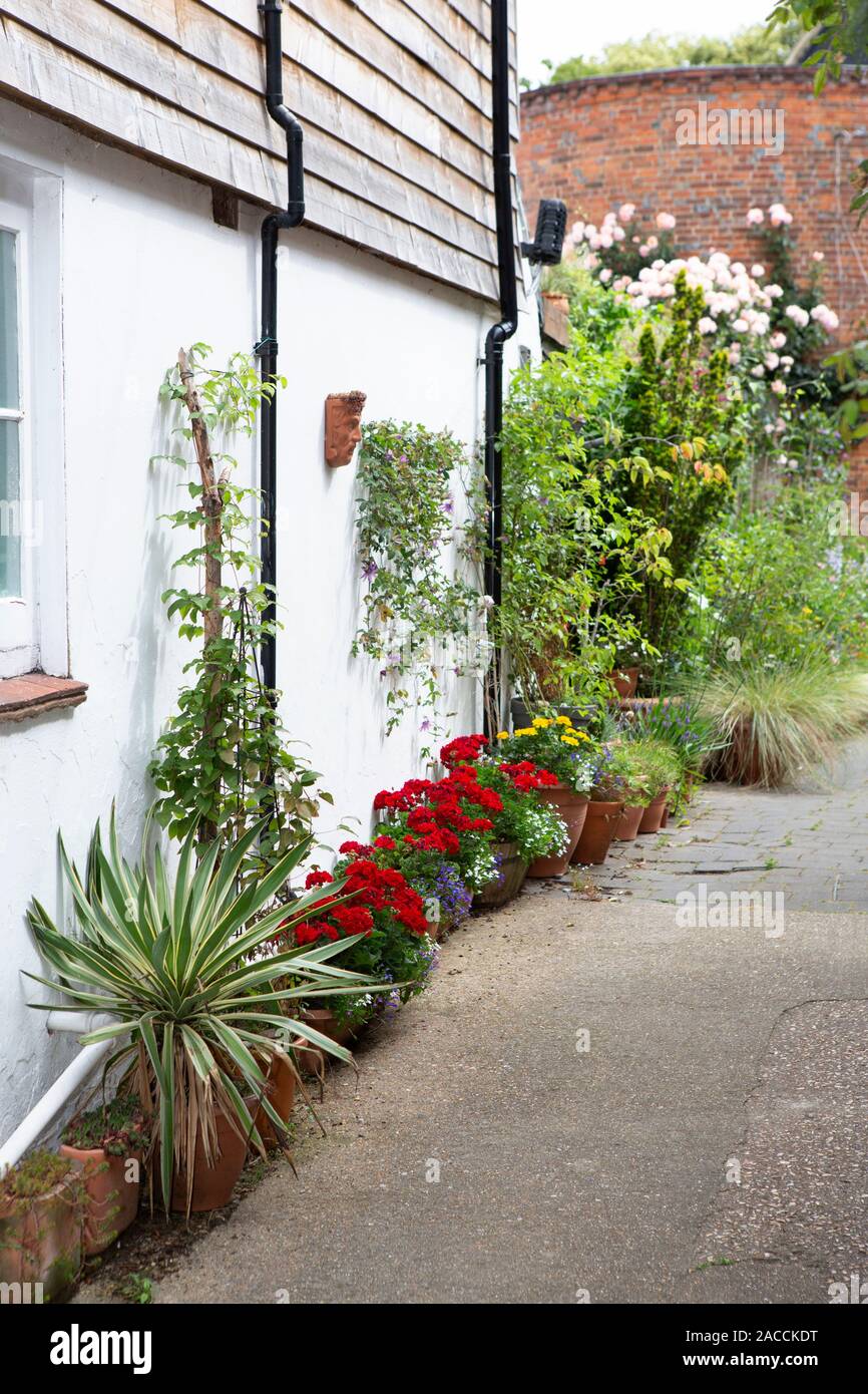 Farnham in Bloom. Surrey town of Farnham holds it's annual flower and ...