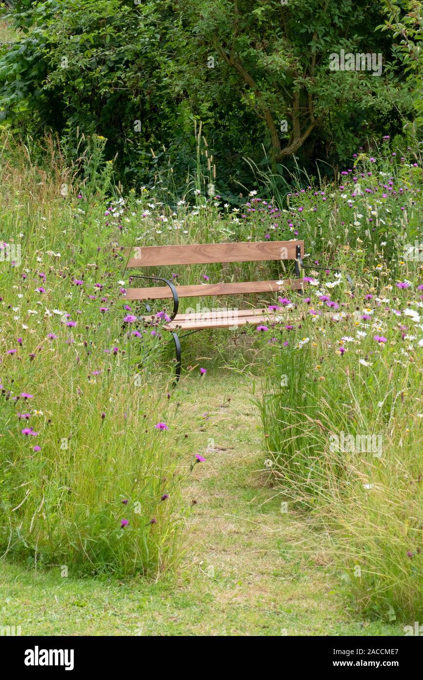 Farnham in Bloom. Surrey town of Farnham holds it's annual flower and ...