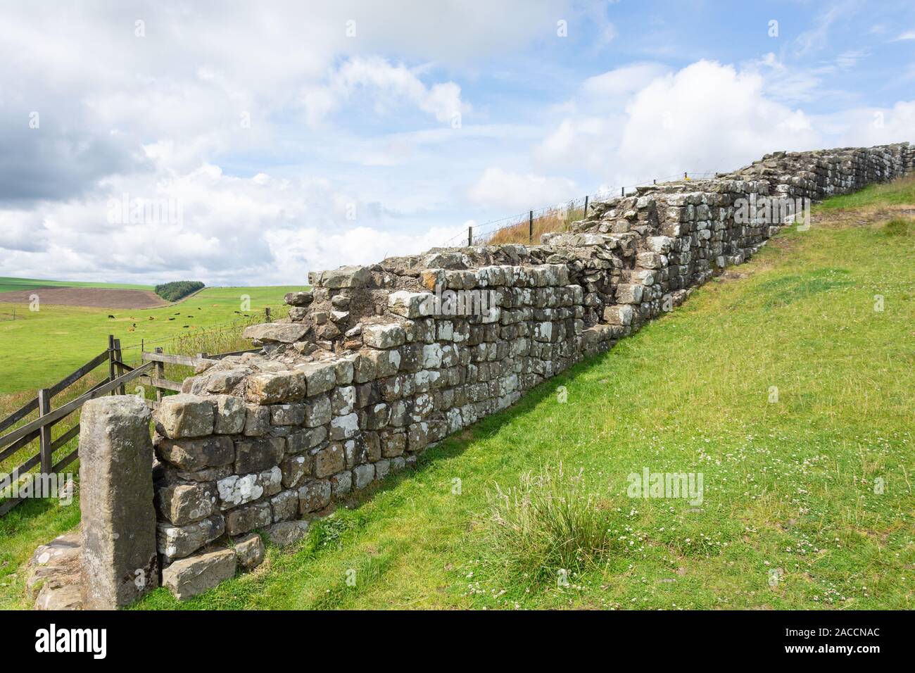 Hadrian's Wall at Cawfields, Northumberland National Park, Haltwhistle ...