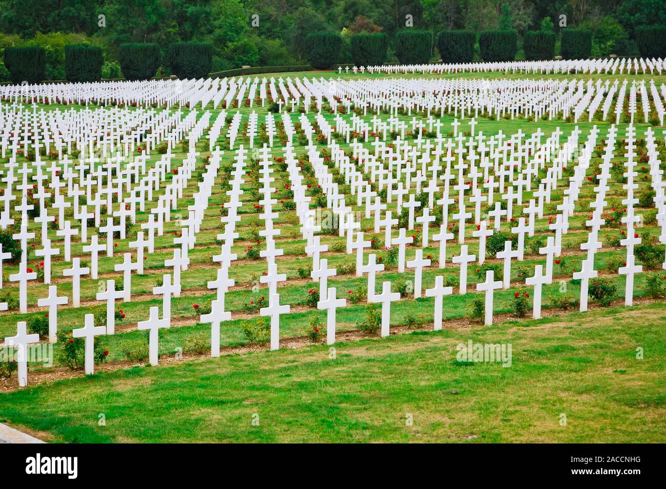 Lines of white crosses on big cemetery field Stock Photo - Alamy