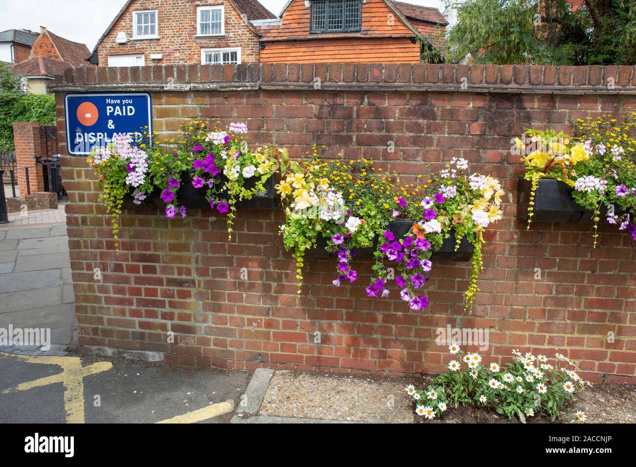 Farnham in Bloom. Surrey town of Farnham holds it's annual flower and ...