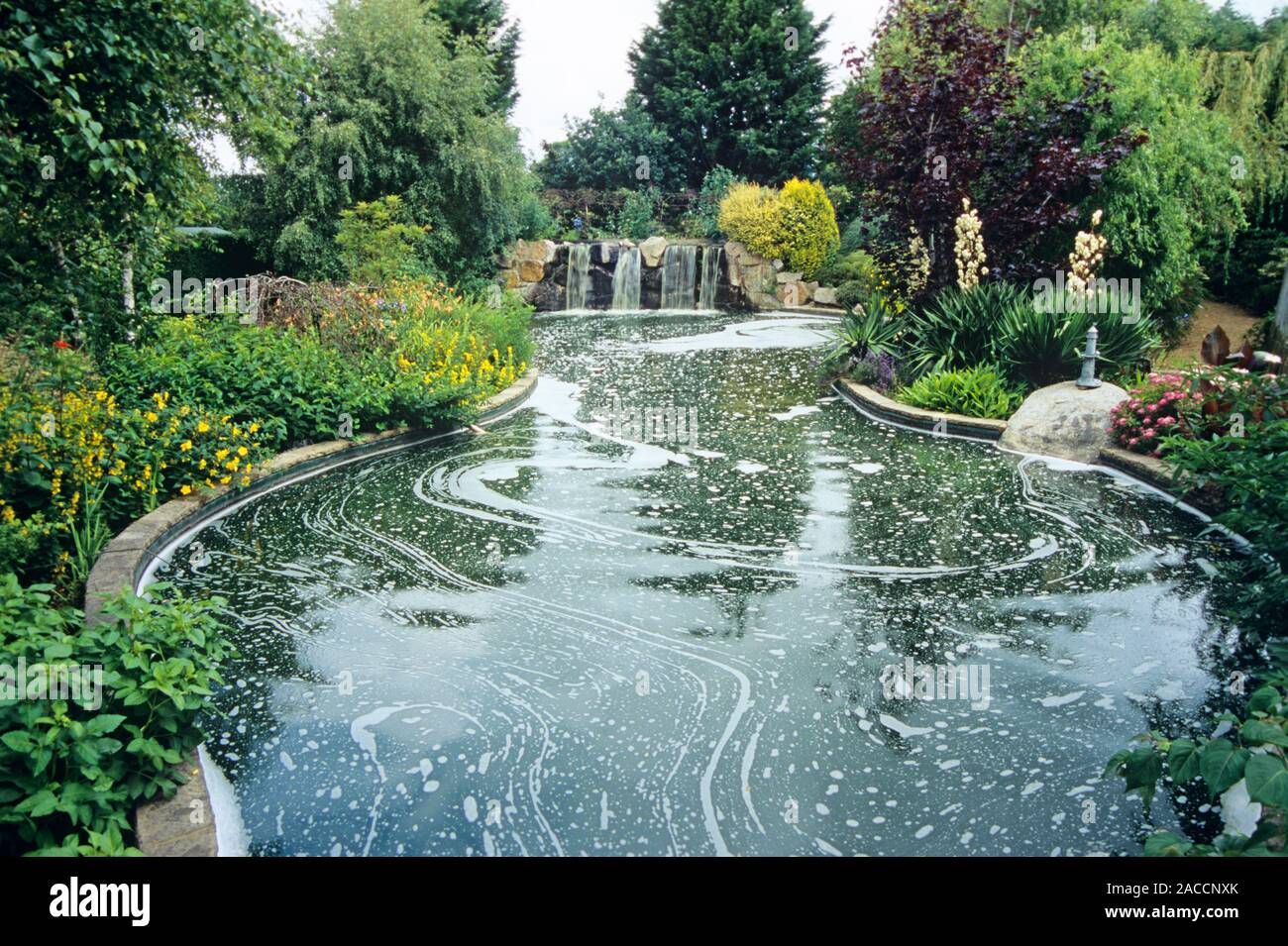 Pool and waterfall at Badgers Holt garden, Jersey, UK Stock Photo - Alamy