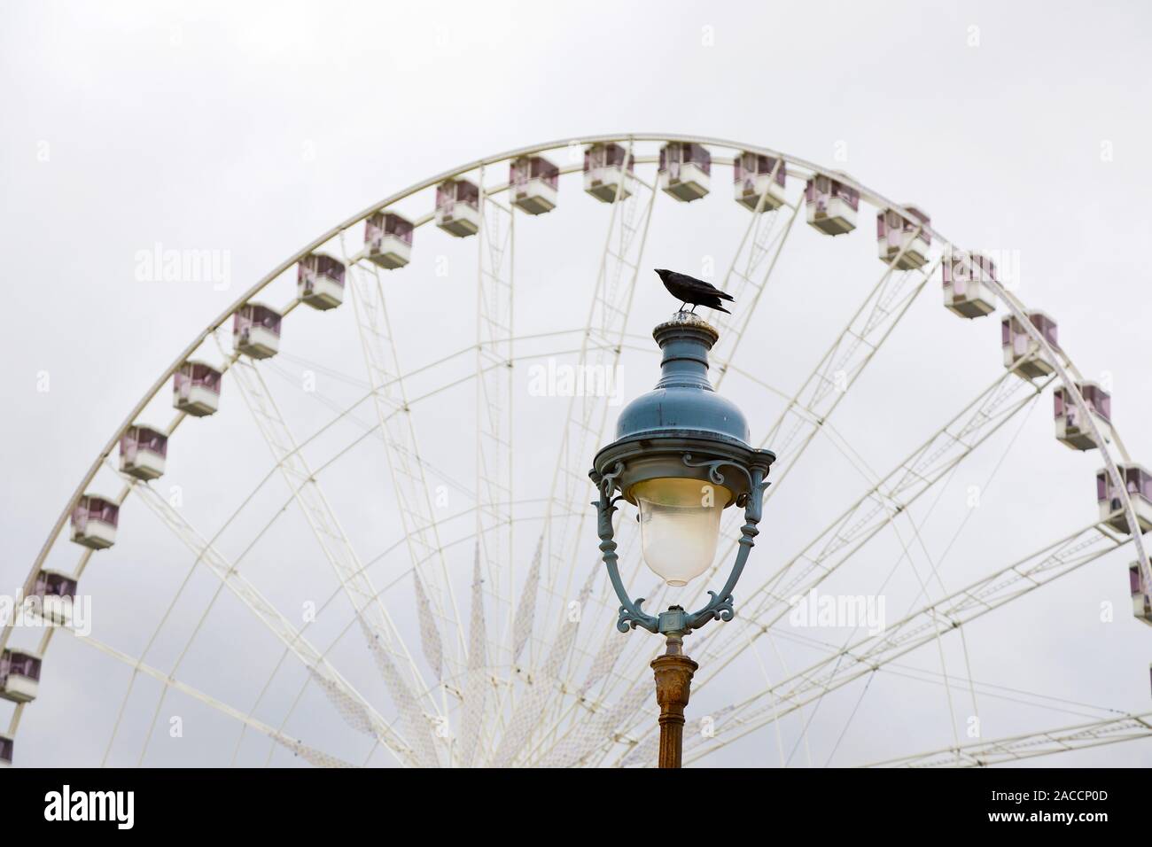 Crow sitting at lamp in front of big russian wheel carousel Stock Photo ...