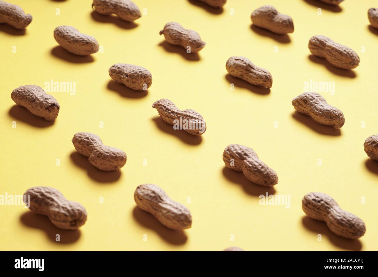 close-up peanuts in shells arranged in endless rows on yellow paper ...