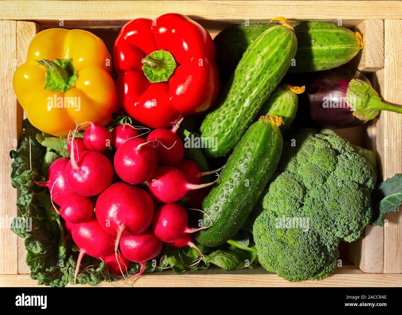 Top view of fresh organic vegetables full of sun lights Stock Photo - Alamy