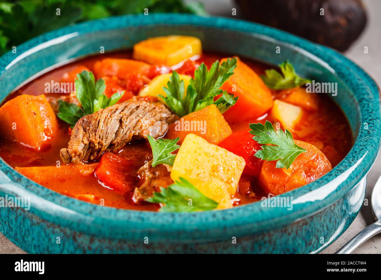 Traditional hungarian goulash. Beef stew with potatoes, carrots and ...