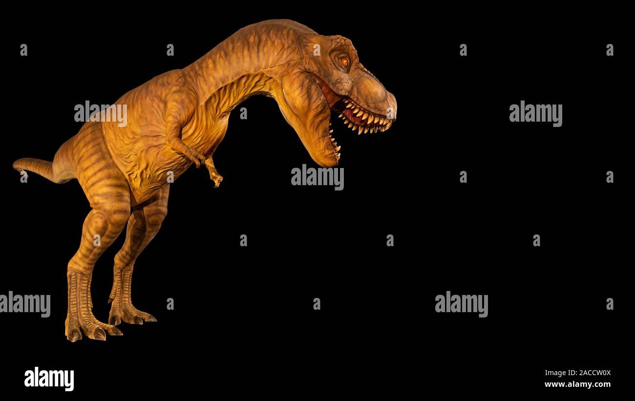 Tyrannosaurus rex ( T-rex ) is walking and open mouth and copy space on ...