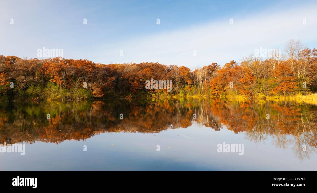 Eastern Deciduous forest along lake, Autumn, Minnesota, USA, by ...