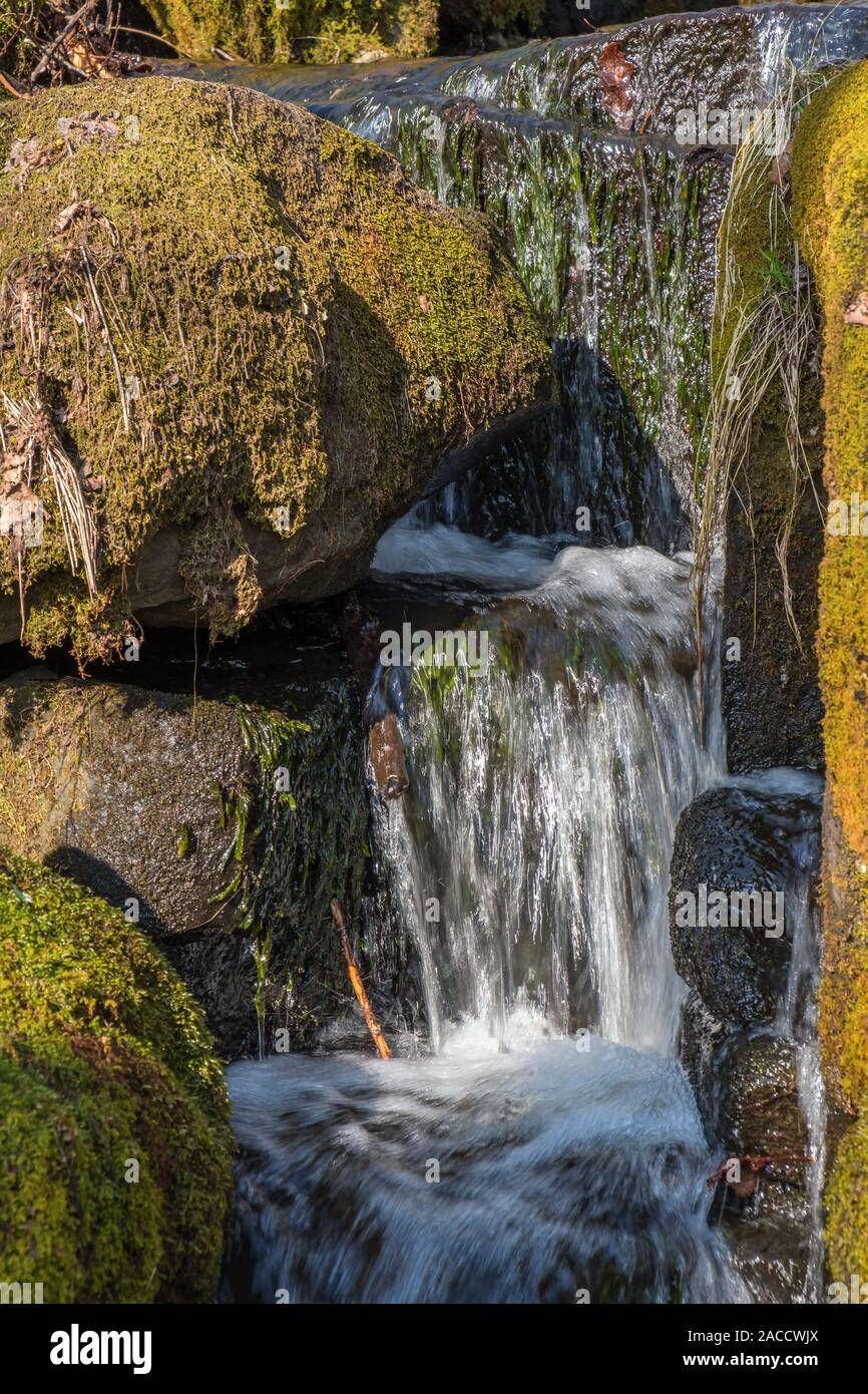 Foaming scum water hi-res stock photography and images - Alamy