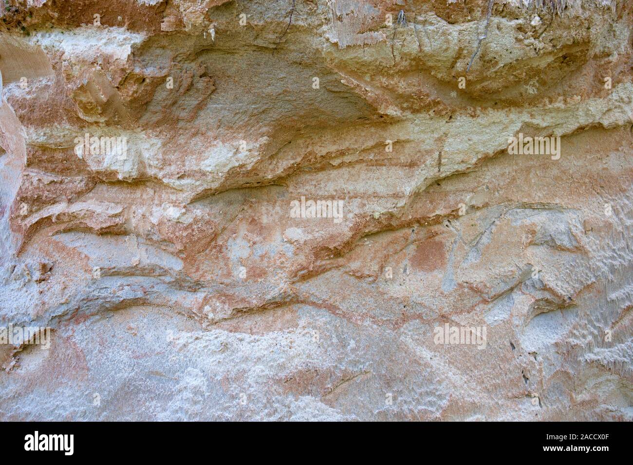 Cross section of sandy soil, relief vertical cut closeup, textured ...