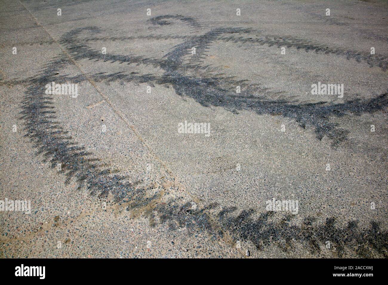 Asphalt race track hi-res stock photography and images - Alamy