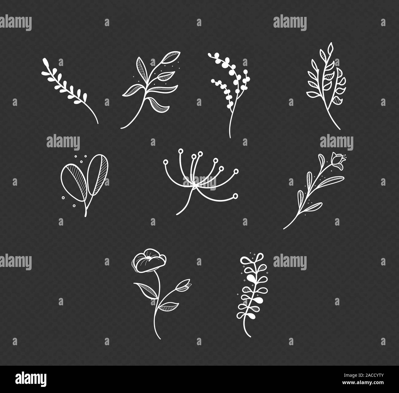 Botanical logo outline drawing vecctor in set Stock Vector Image & Art ...