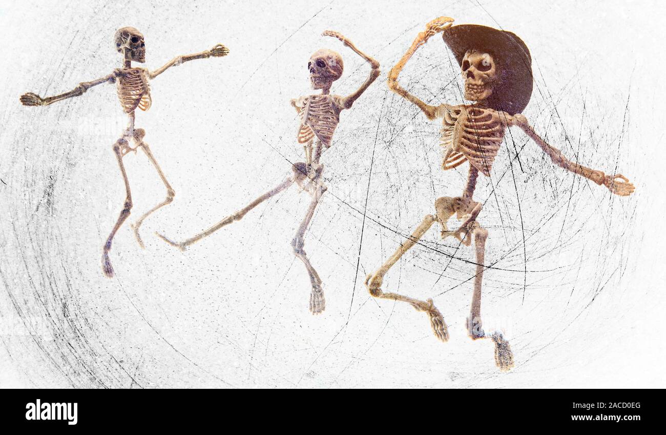 Silly dancing medical skeleton wearing cowboy hat on grunge vintage ...