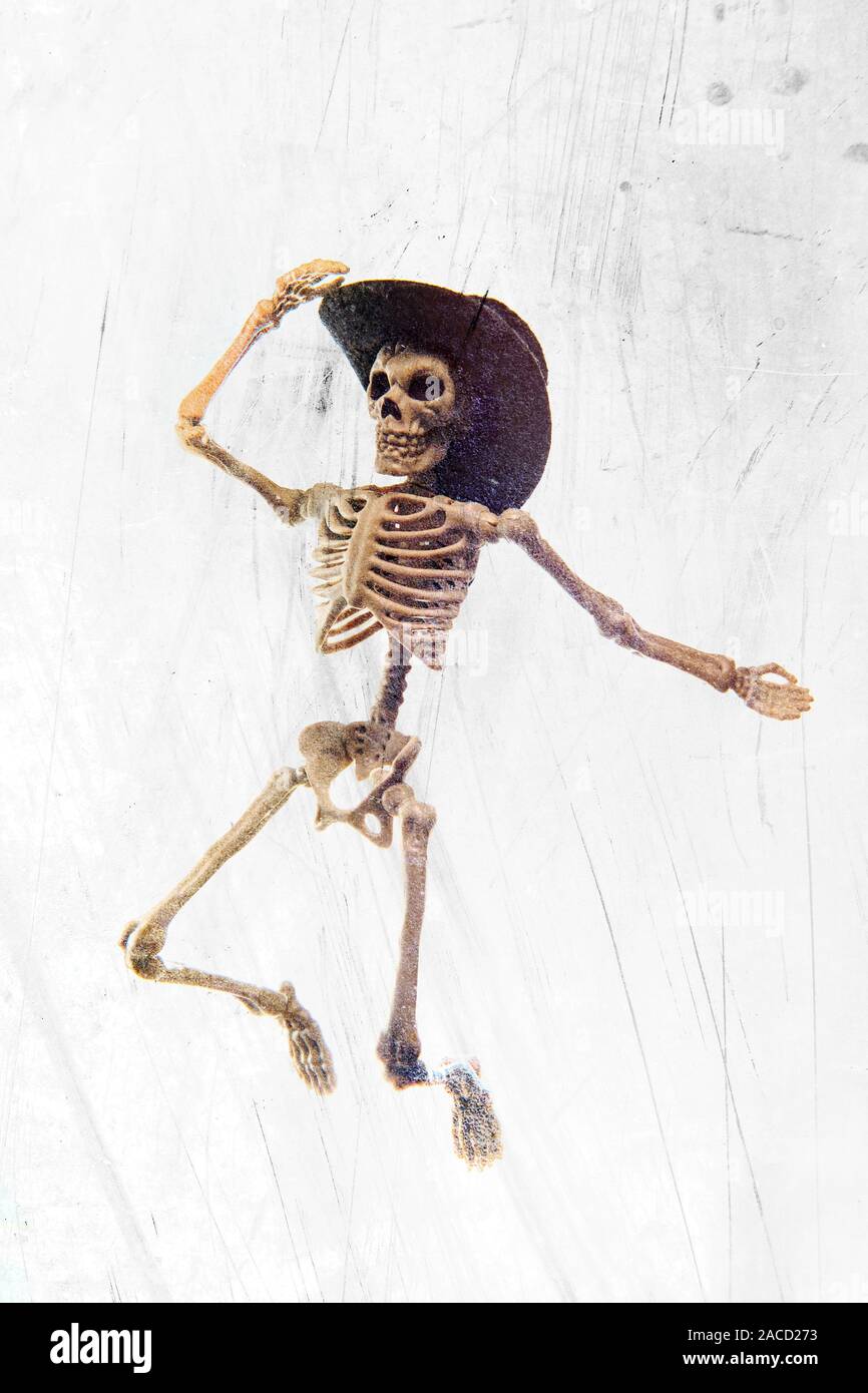 Silly dancing medical skeleton wearing cowboy hat on grunge vintage ...