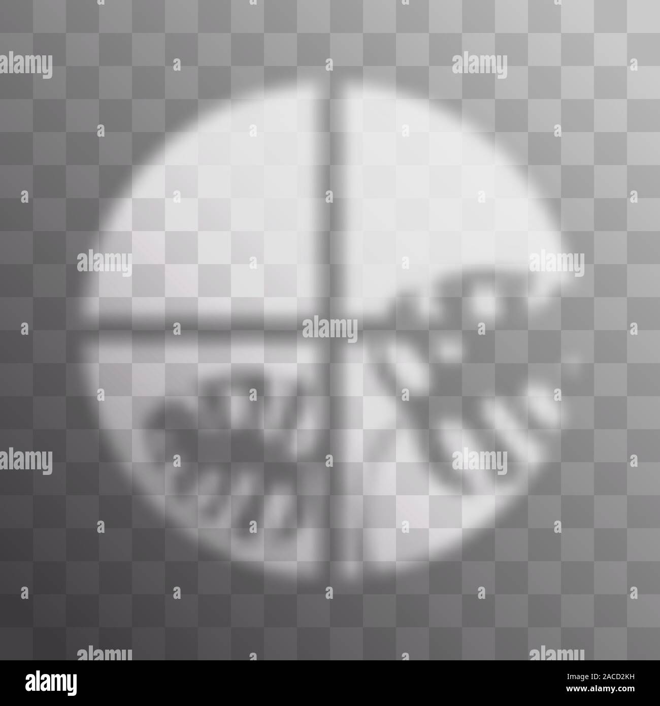 Window shadows plant branches Stock Vector Images - Alamy