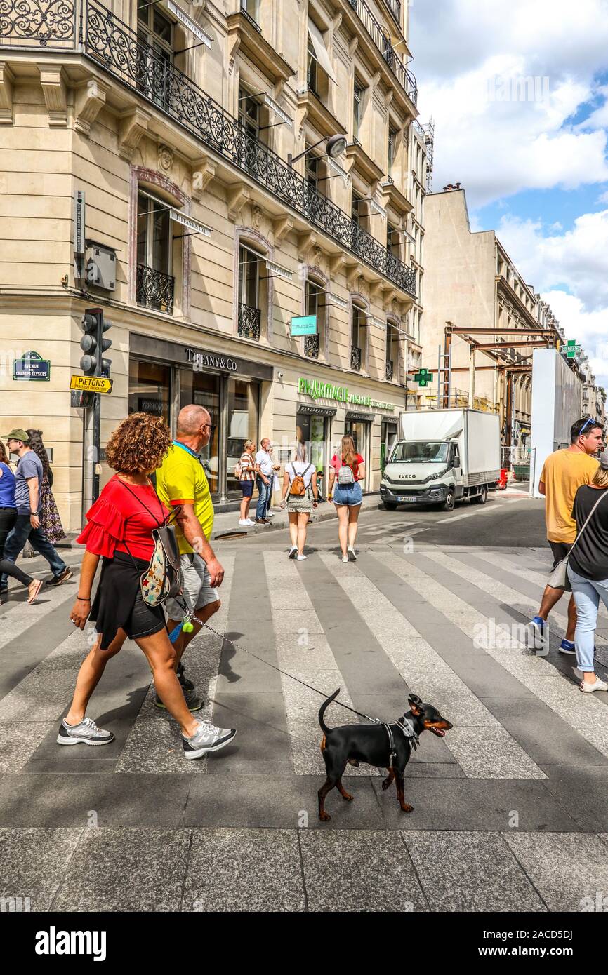 France paris woman walking dog hi-res stock photography and images - Alamy