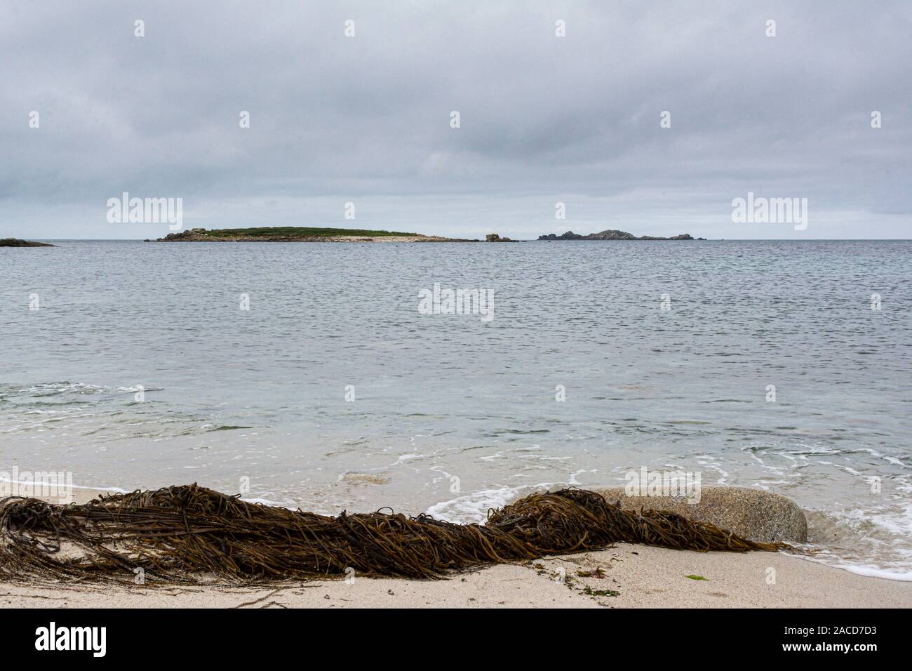 View of White Island seen from West Porth on Samson, Isles of Scilly ...