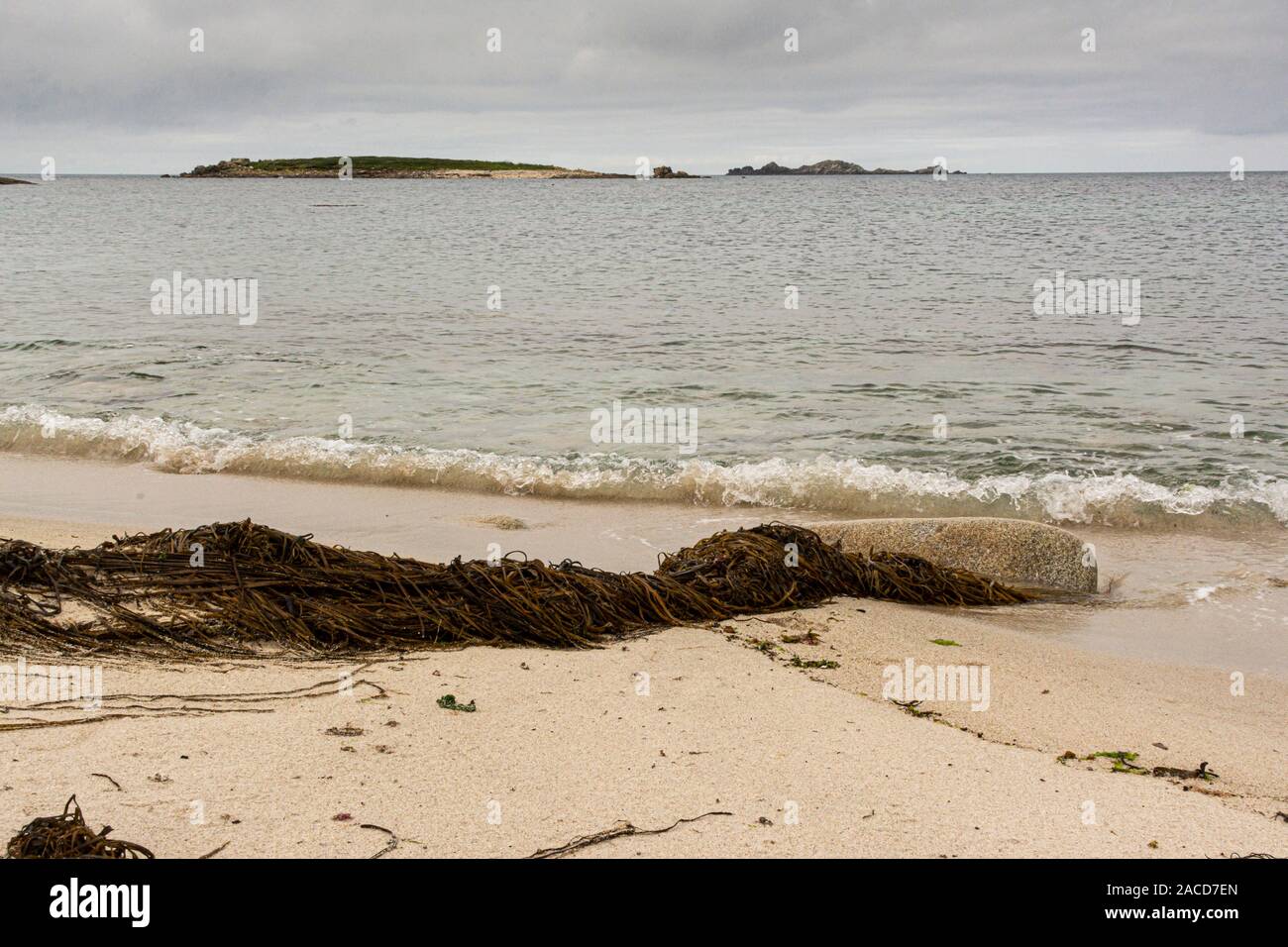 View of White Island seen from West Porth on Samson, Isles of Scilly ...