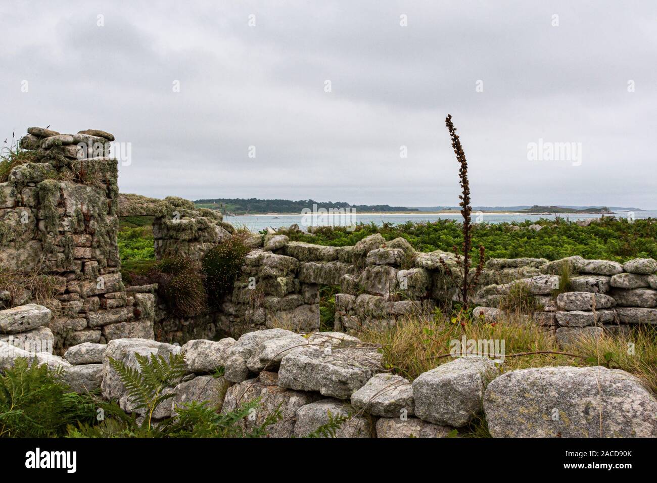 The remains of an abandoned building on Samson, Isles of Scilly Stock ...