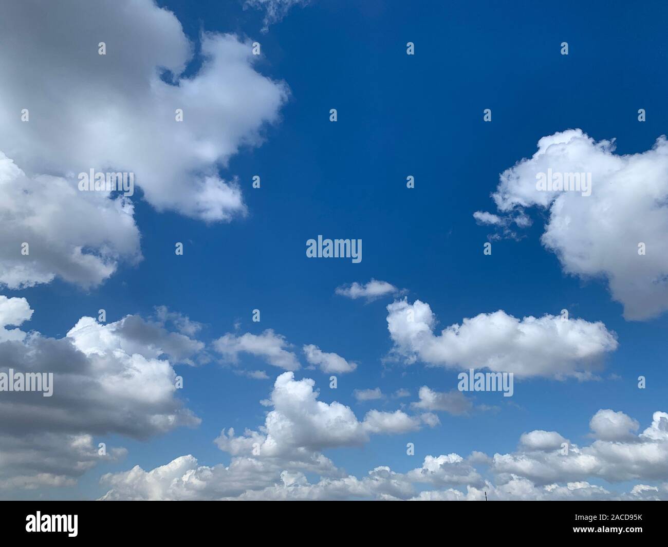 View dense heavy big hi-res stock photography and images - Alamy