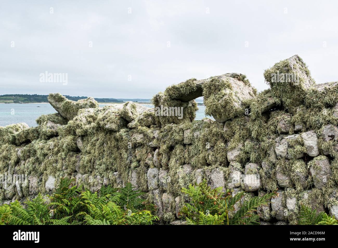 The remains of an abandoned building on Samson, Isles of Scilly Stock ...