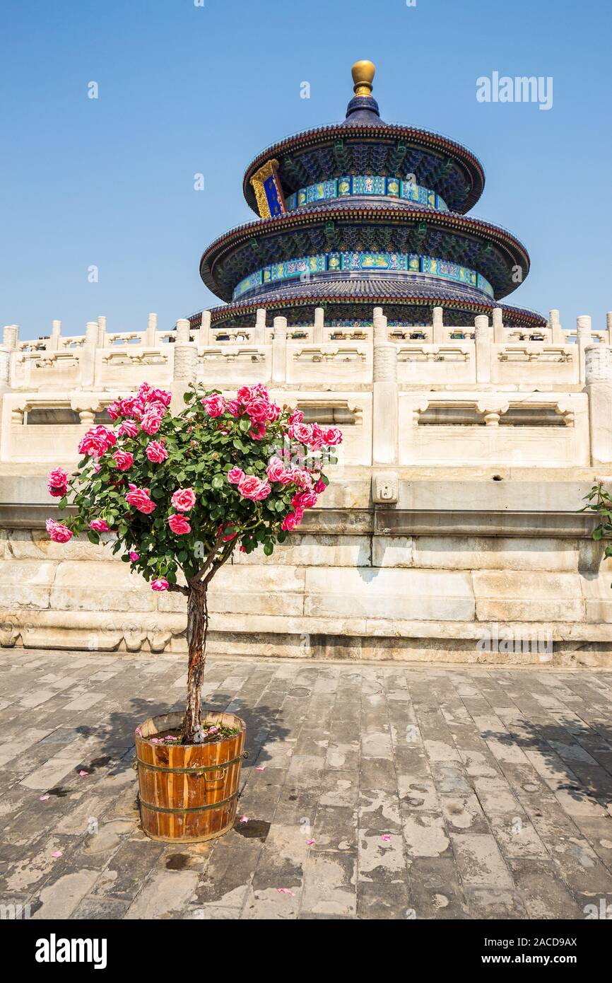 Asia traditional house moon gate hi-res stock photography and images ...