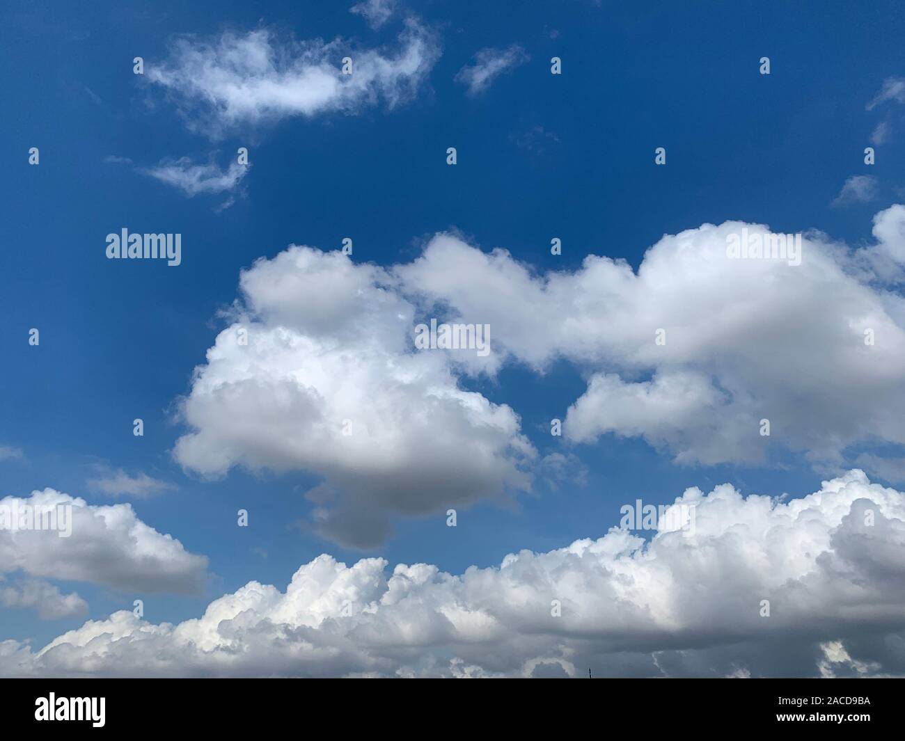View dense heavy big hi-res stock photography and images - Alamy