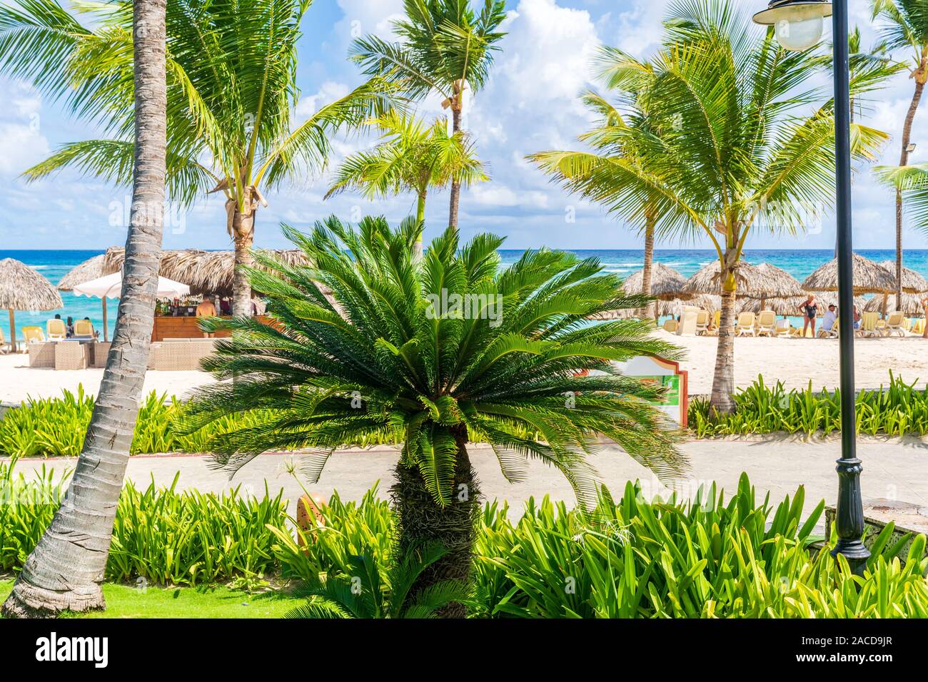 Punta Cana, Dominican Republic - October 21, 2019: Beautiful Beach in ...