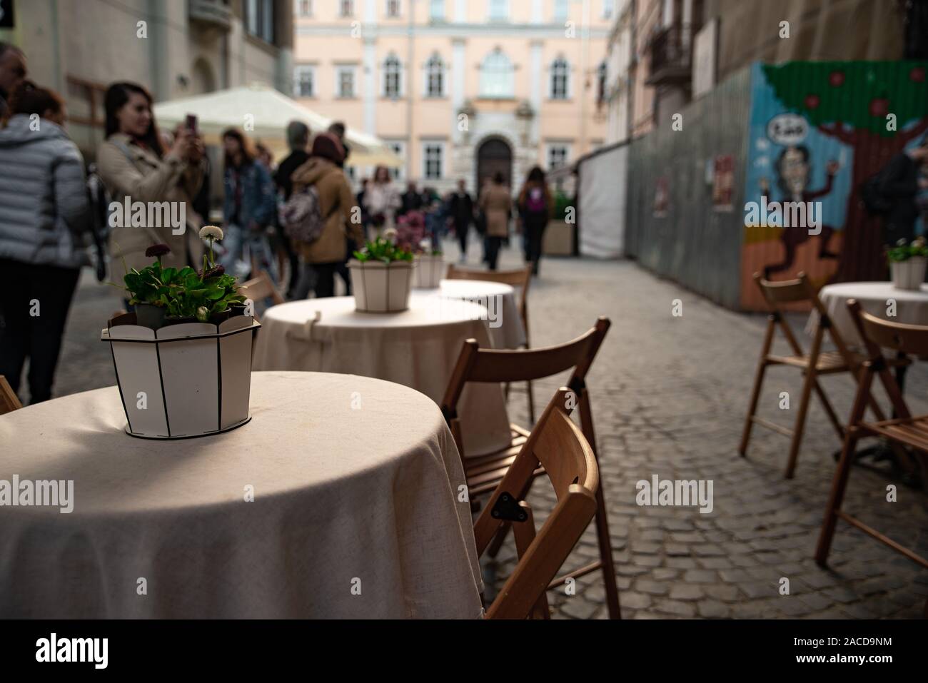view of plant in pot at restaurant table outdoors cafe Stock Photo - Alamy
