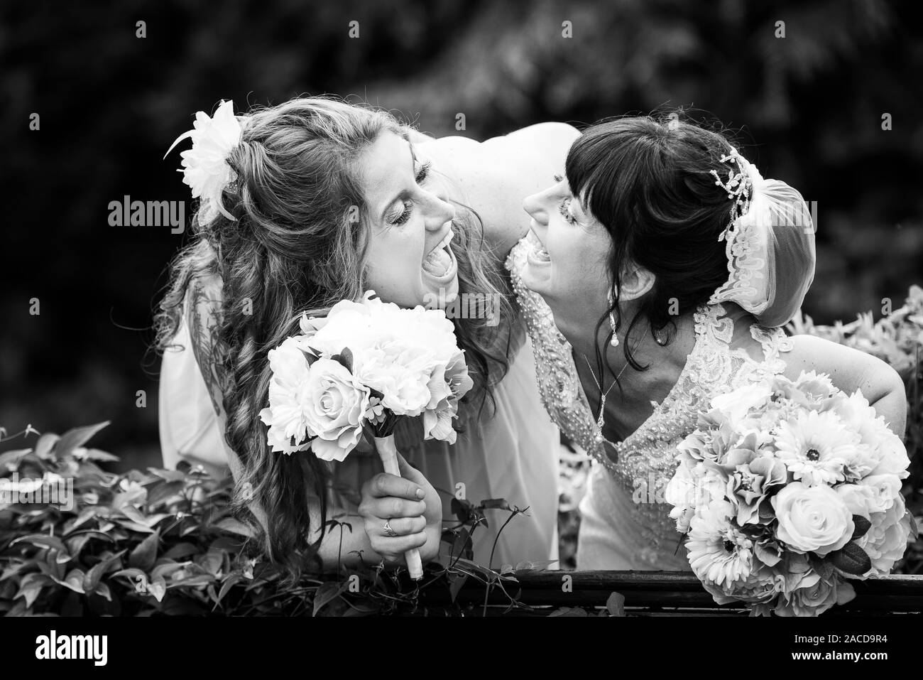 Honour and friendship Black and White Stock Photos & Images - Alamy