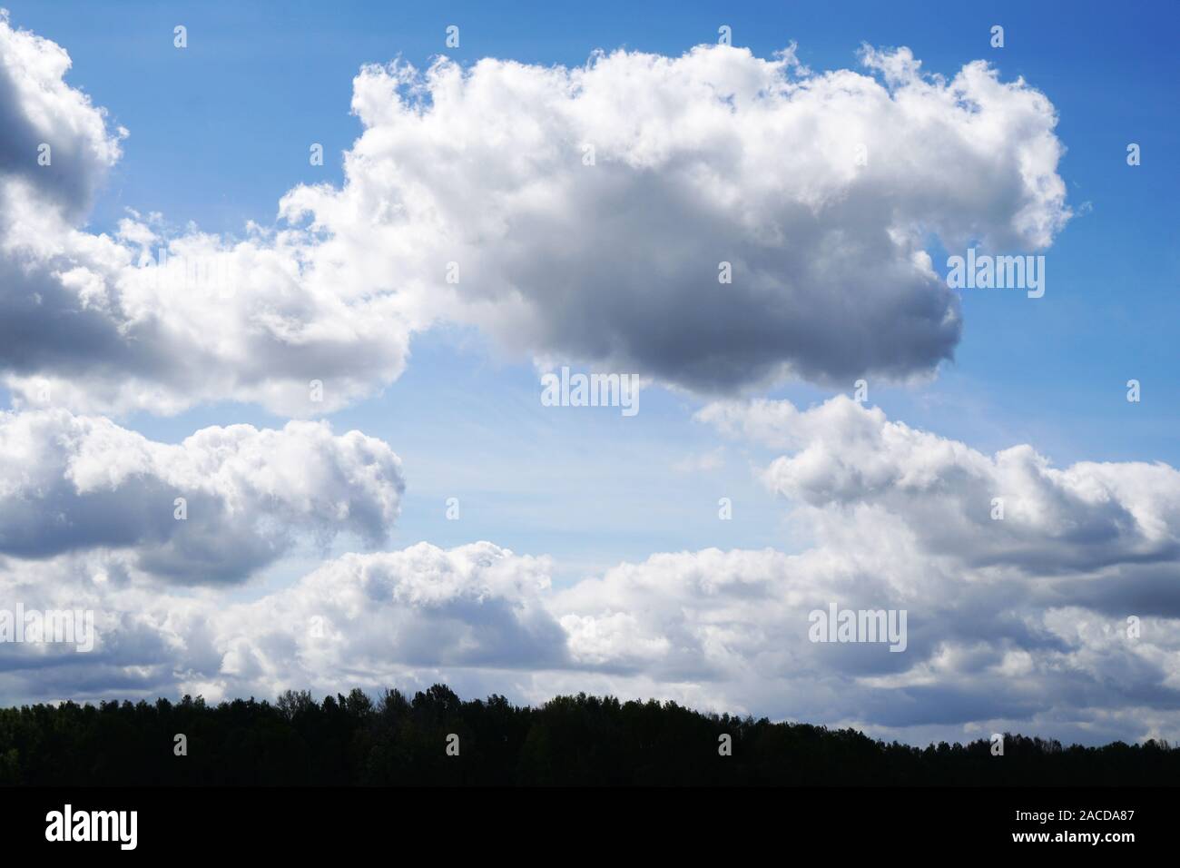 sky with dramatic clouds over treetops - nature background with copy ...