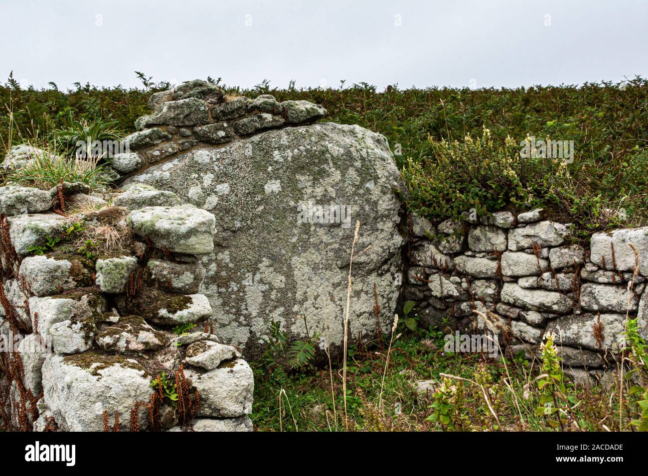 The inside of the remains of an abandoned building on the island of ...