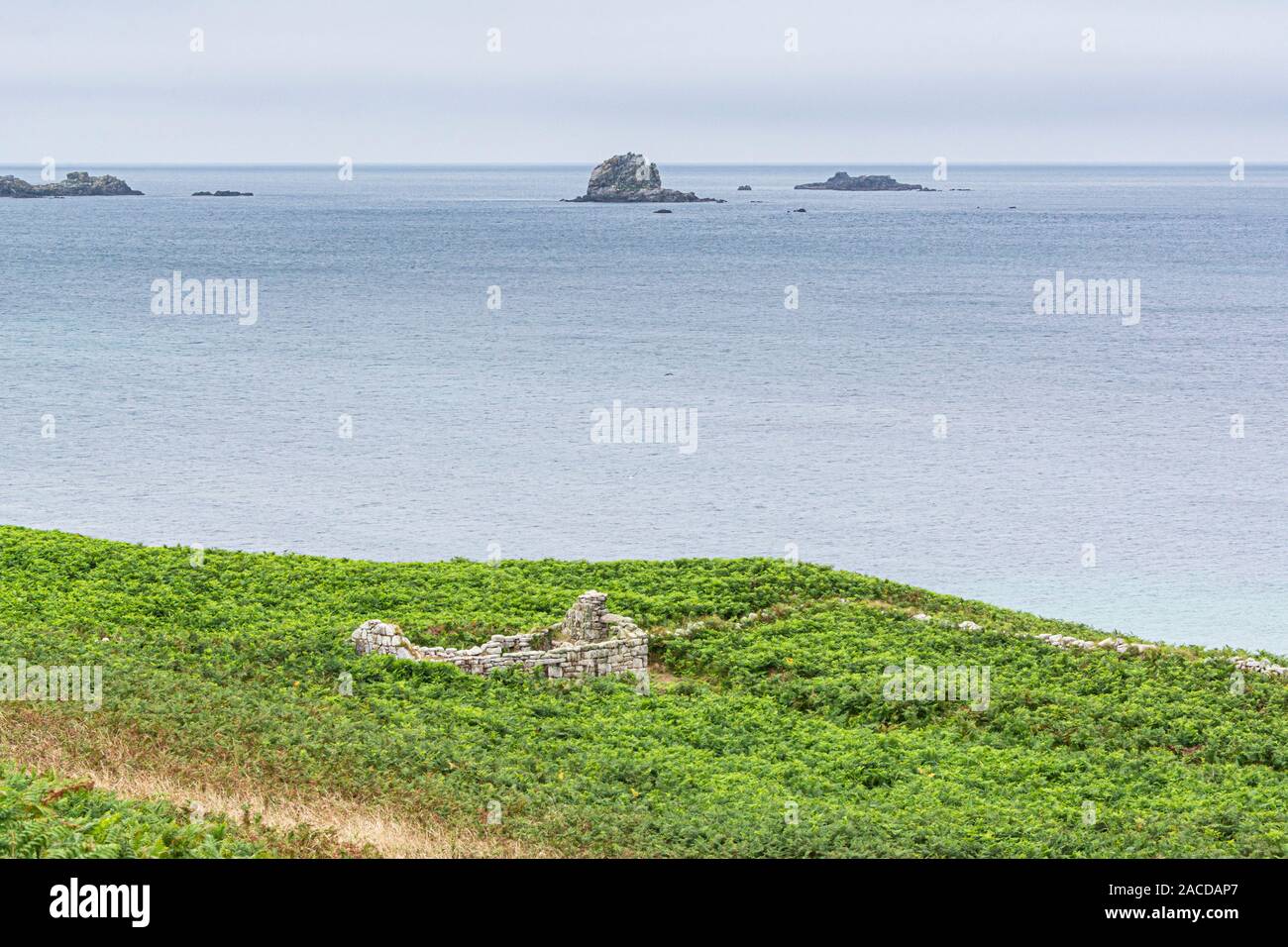 The remains of an abandoned building on Samson, Isles of Scilly Stock ...