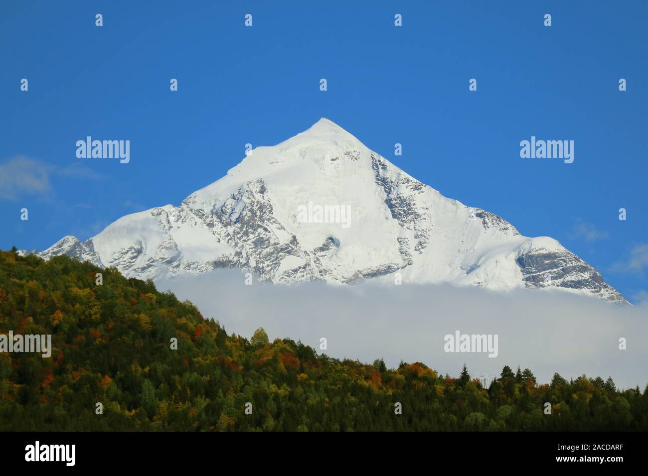 The Tetnuldi Peak of the Greater Caucasus Mountain Range as Seen from ...