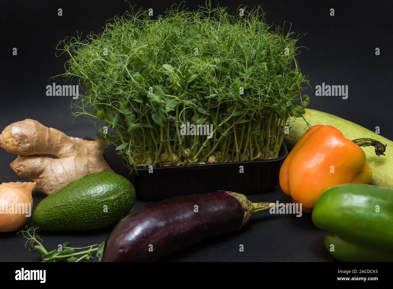 Micro greens sprouts Stock Photo - Alamy