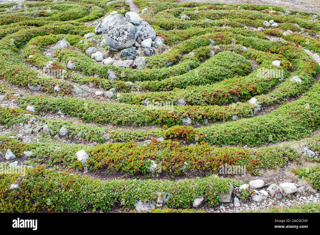 Labyrinth. Prehistoric maze of stones and plants. Photographed on the ...