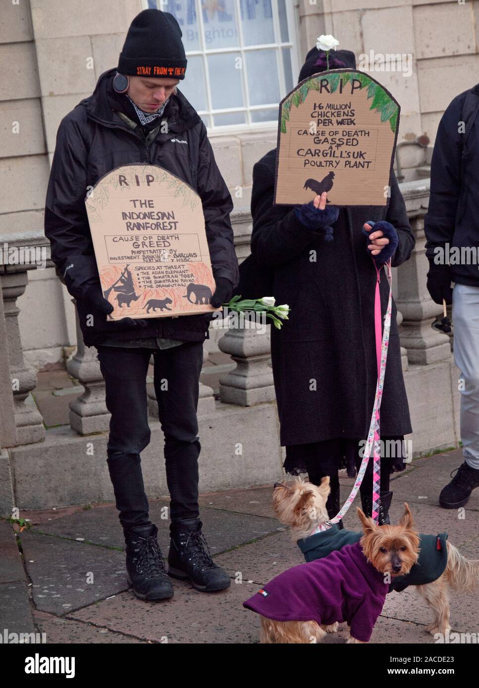 Animal rebellion protestors hi-res stock photography and images - Alamy