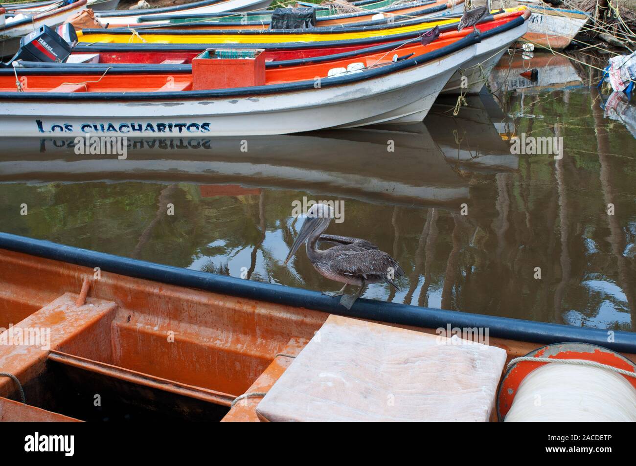 Traditional fishing boat venezuela hi-res stock photography and images ...