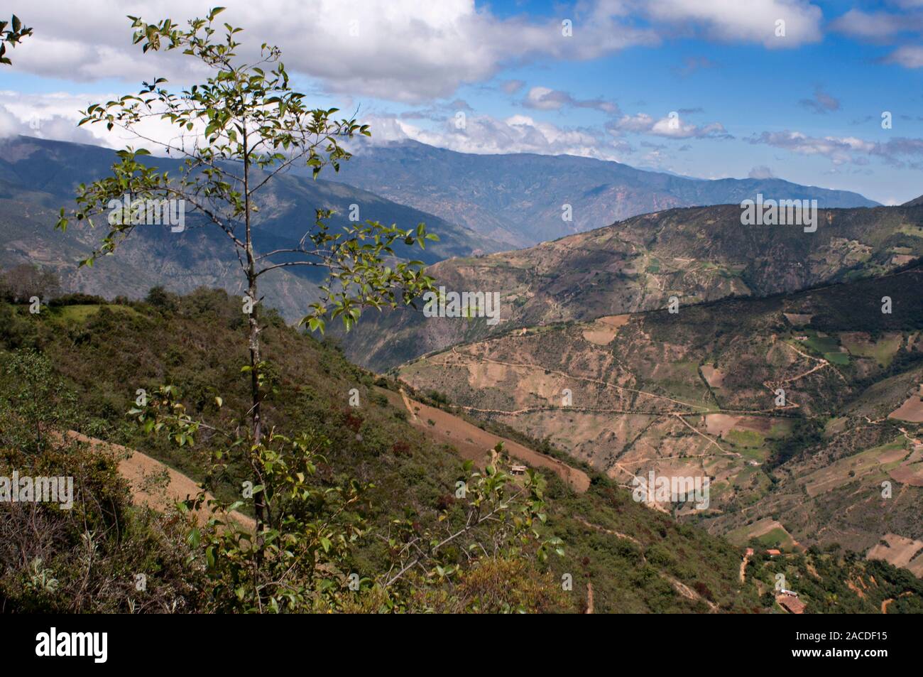 Landscape near Los Nevados village in andean cordillera Merida state ...