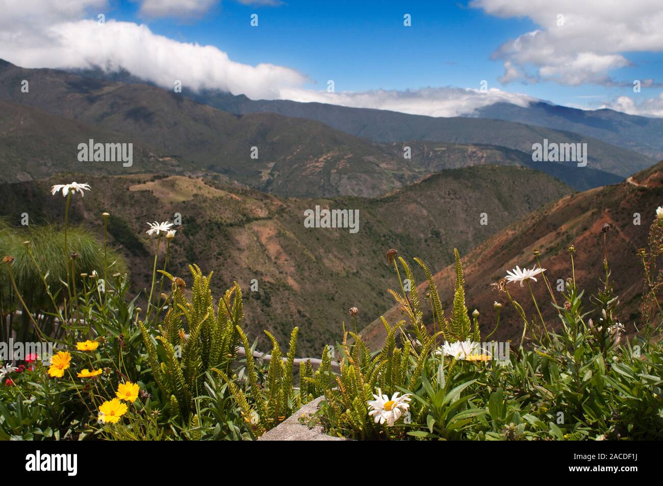 Landscape near Los Nevados village in andean cordillera Merida state ...