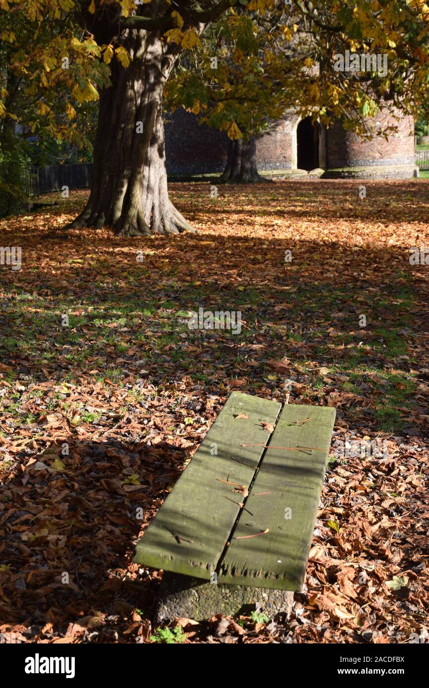 Autumn colours, Cow Tower, Norwich UK November 2019 Stock Photo - Alamy