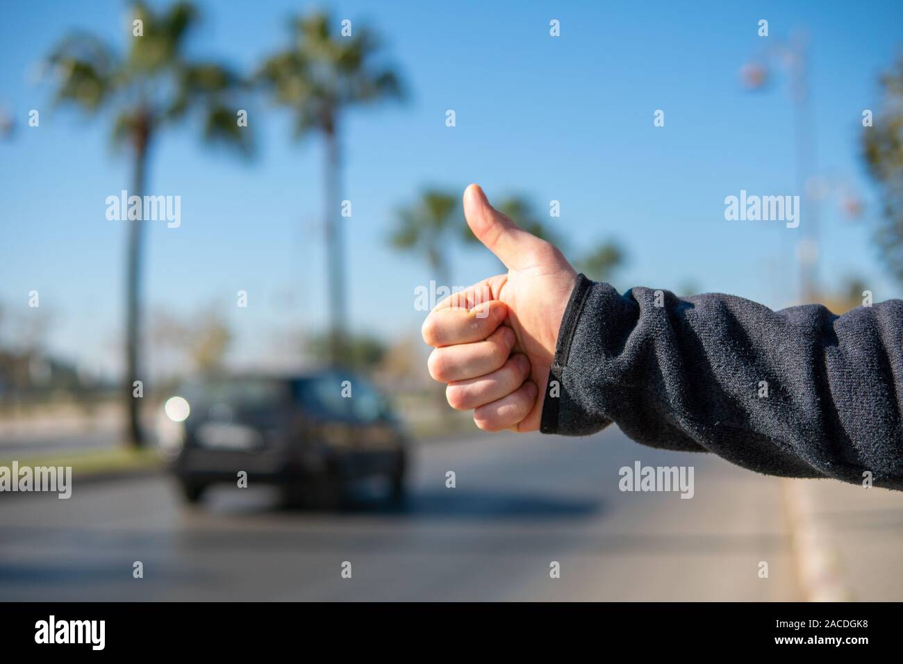 Hand of man with thumb up hitchhiking on the road wit palm trees Stock ...