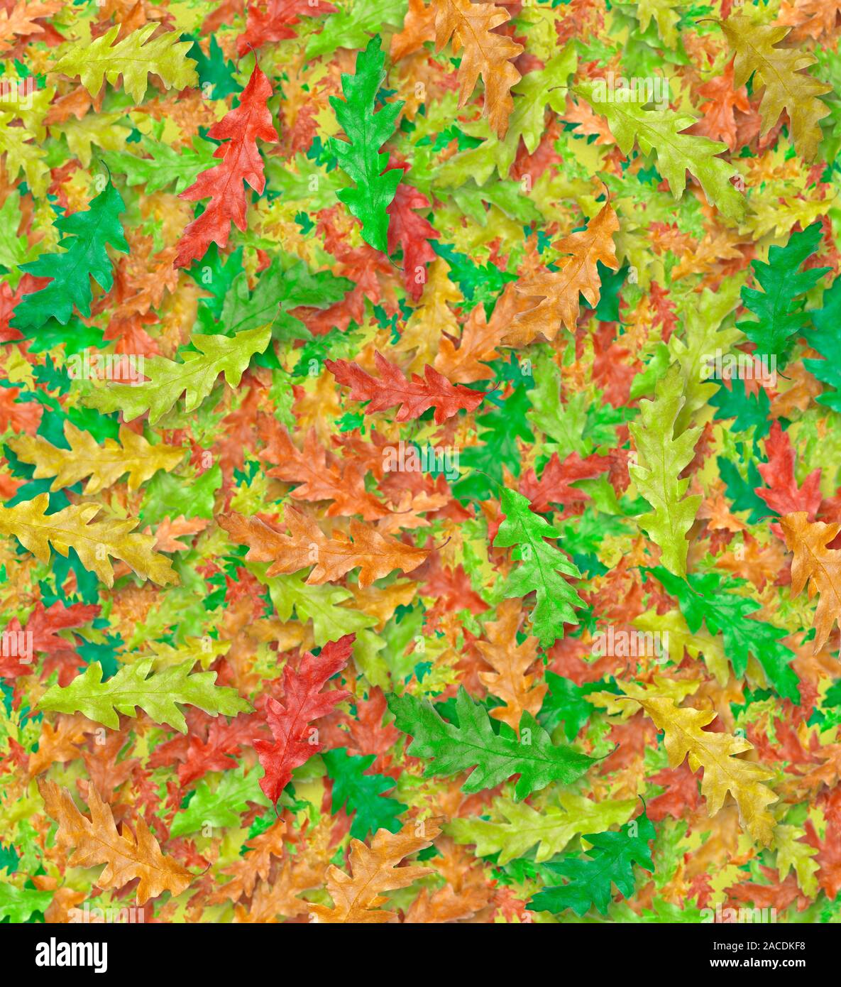 Autumn leaves, computer artwork Stock Photo - Alamy