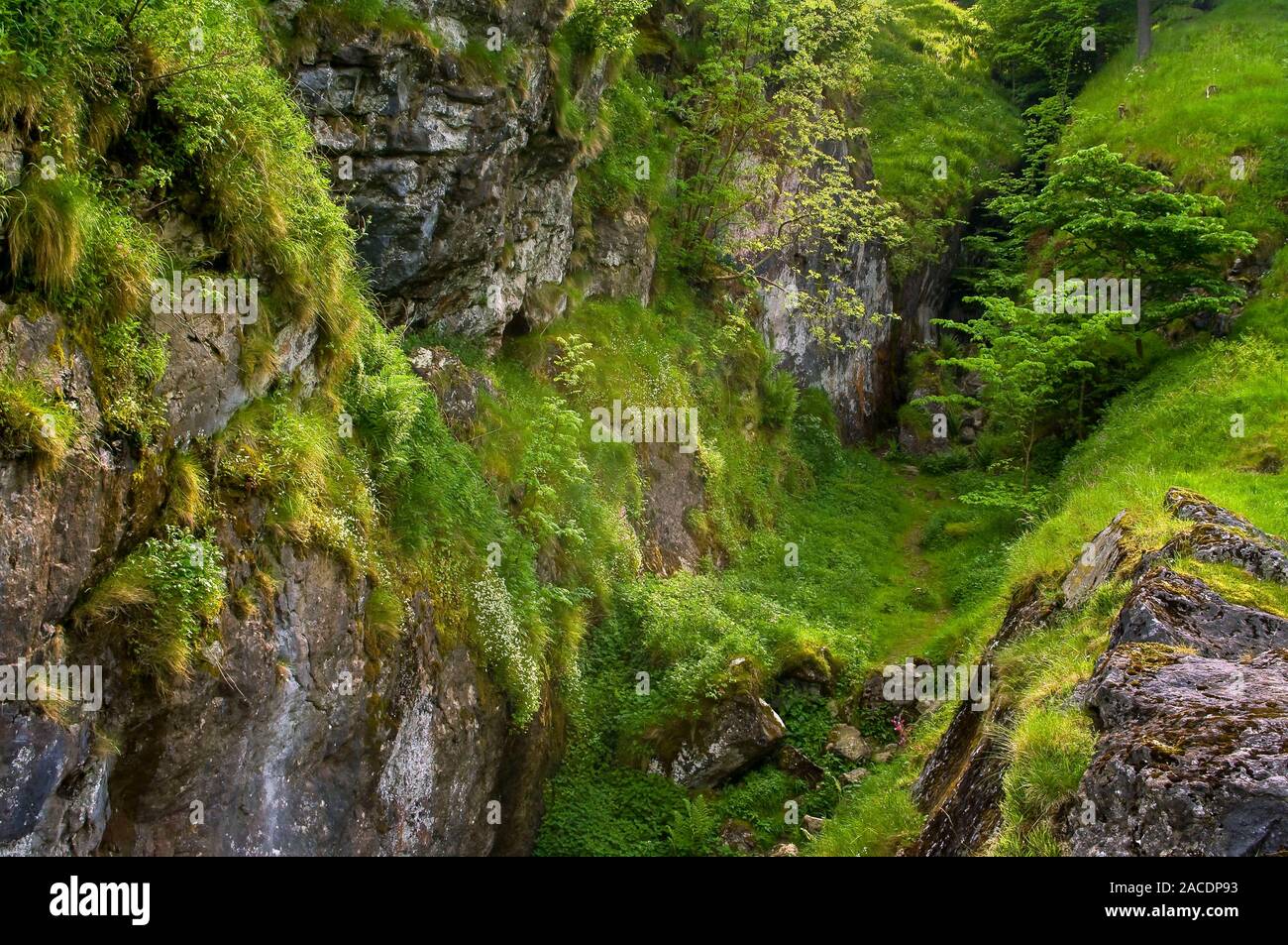 Opencut at the famous Odin Lead Mine, Castleton Stock Photo - Alamy