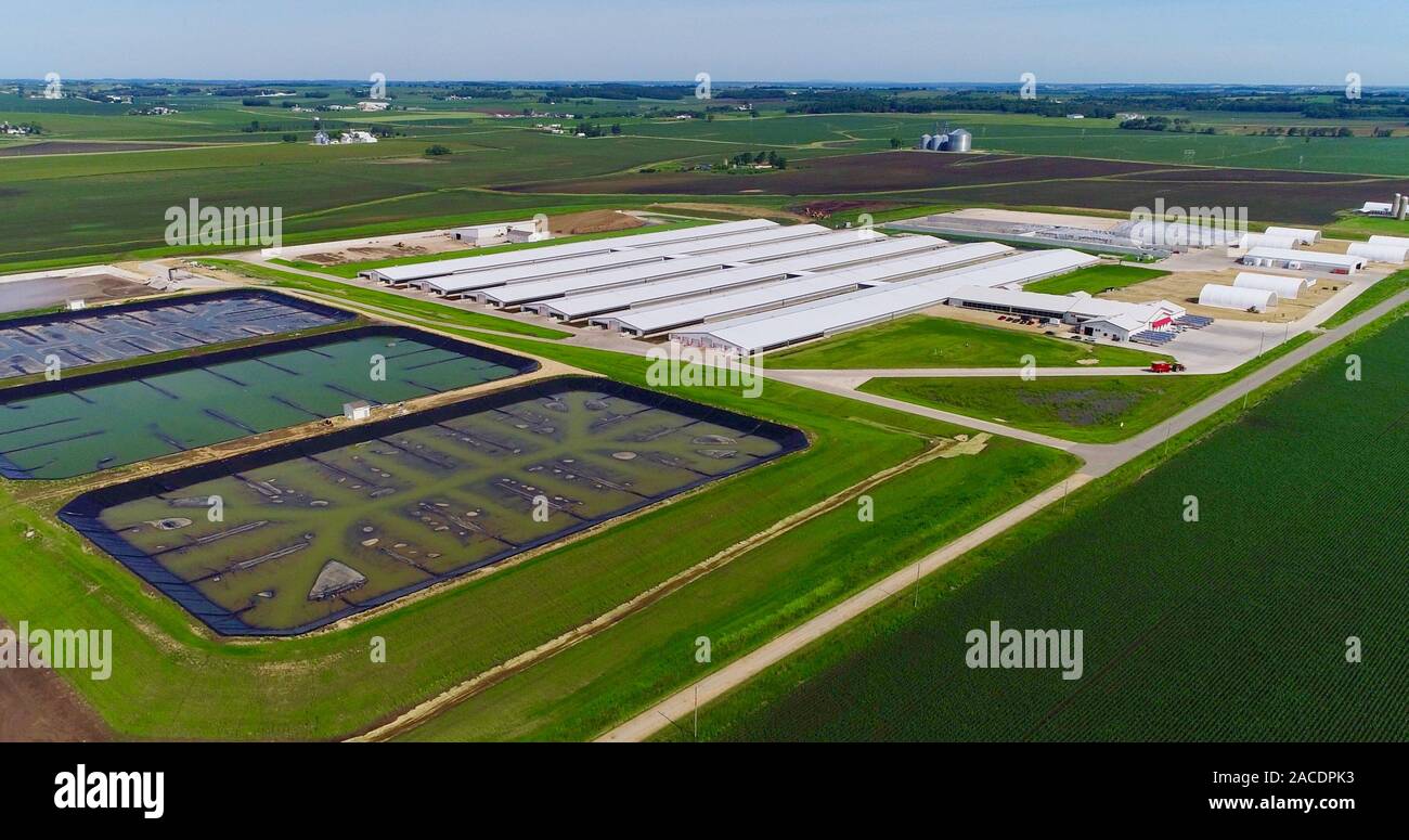 Aerial view of Confined or Concentrated Animal Feeding Operation (CAFO ...