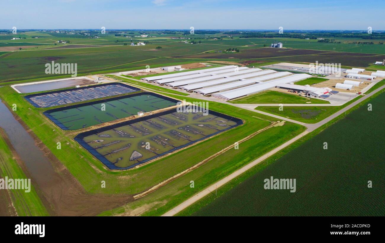 Aerial view of Confined or Concentrated Animal Feeding Operation (CAFO ...
