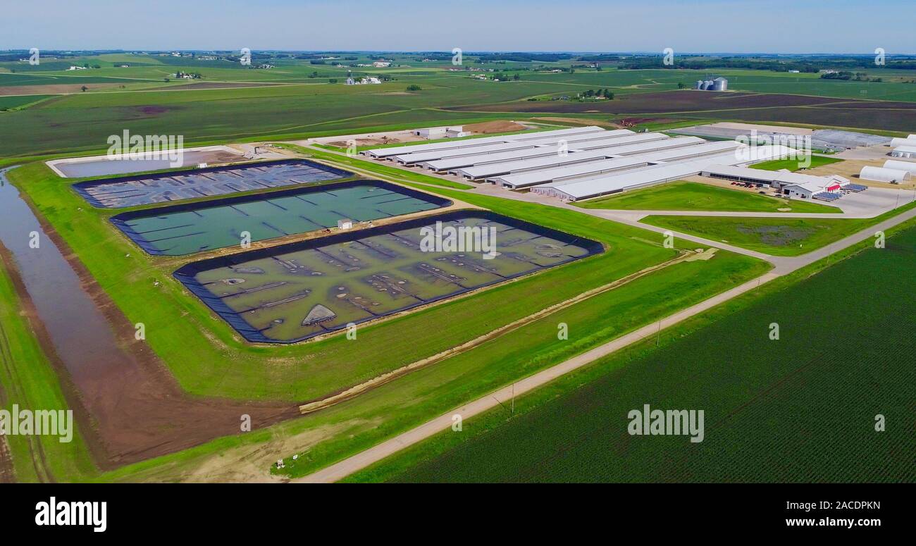 Aerial view of Confined or Concentrated Animal Feeding Operation (CAFO ...